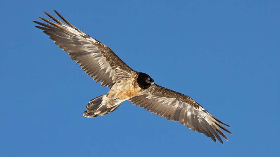 Parco Naturale Marguareis